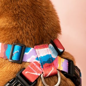 Dog Chest & Back Leash Set_HD029006 - PETSFLOW